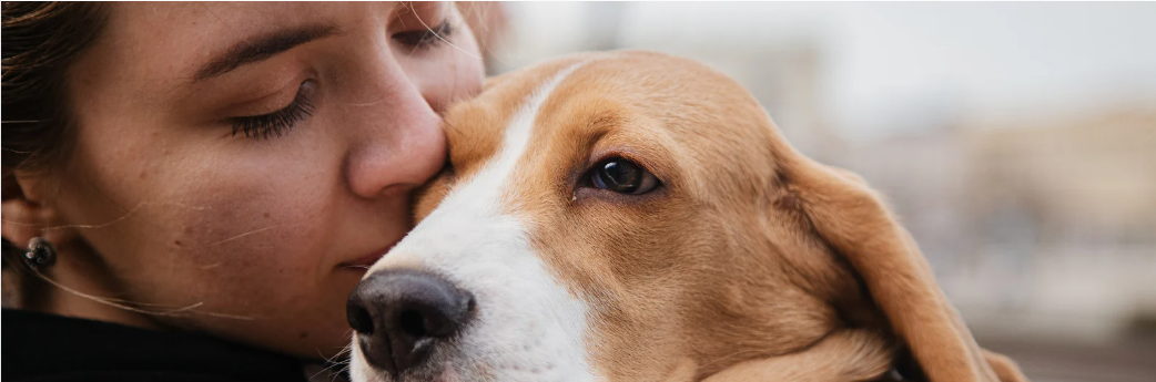 Expert advice and insight | CCVG