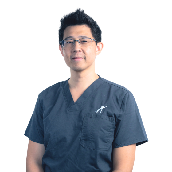 獸醫外診服務中心 - Veterinary Services in Hong Kong | Vet Hong Kong