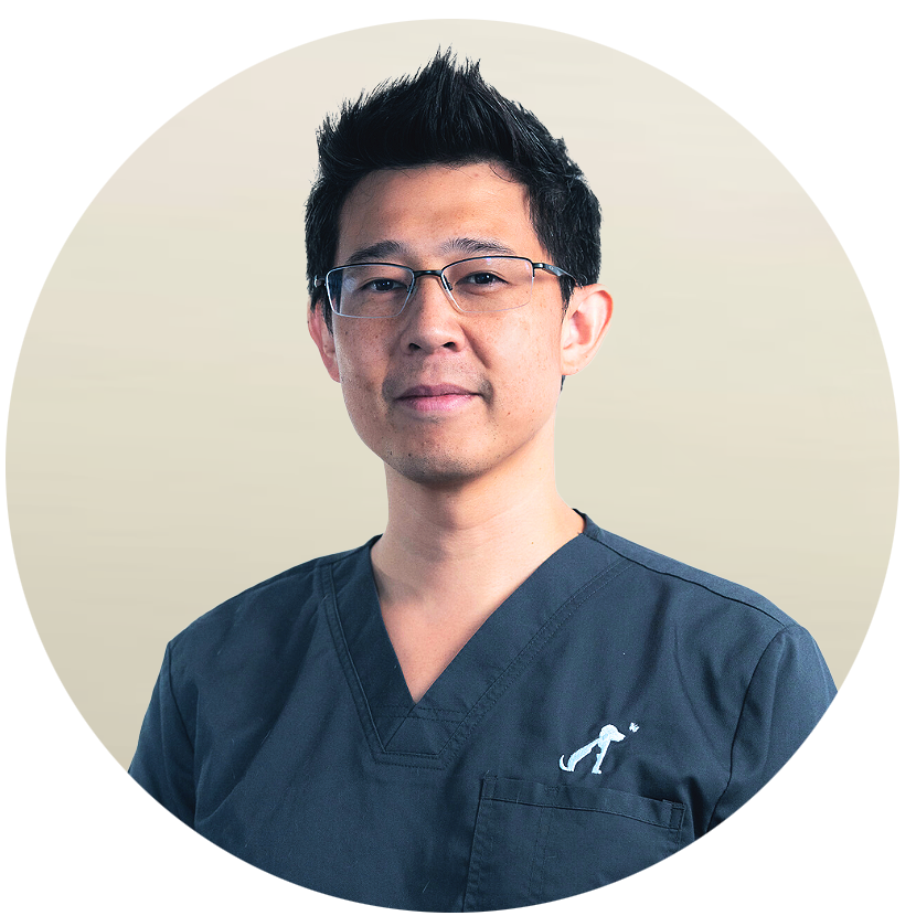 Housecall Page chi | CCVG