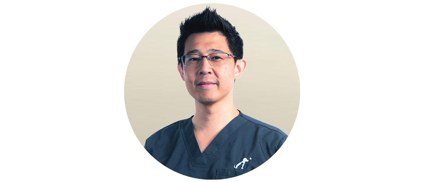 Veterinarians-CH | CCVG