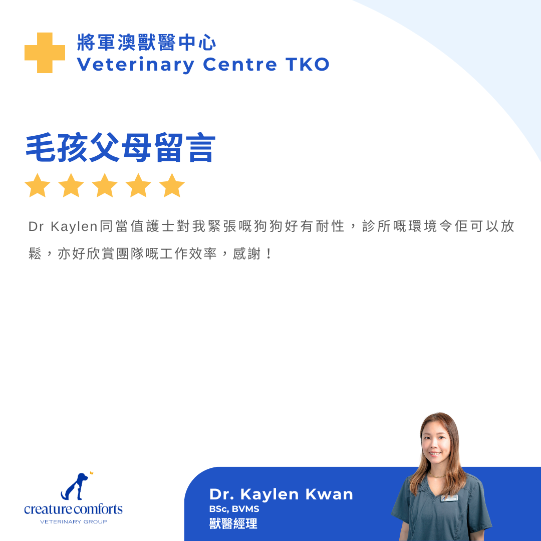 Dr. Kaylen Kwan｜獸醫經理